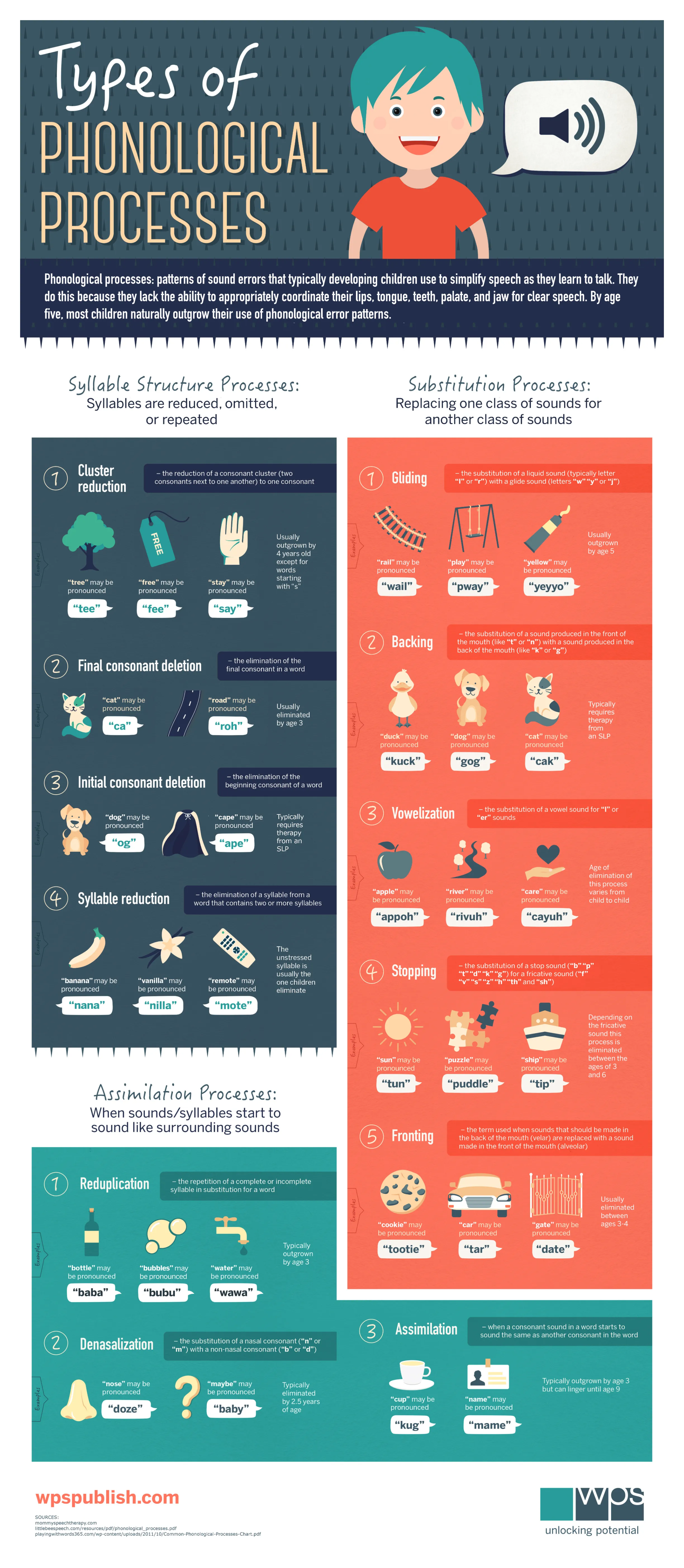 Types of Phonological Processes